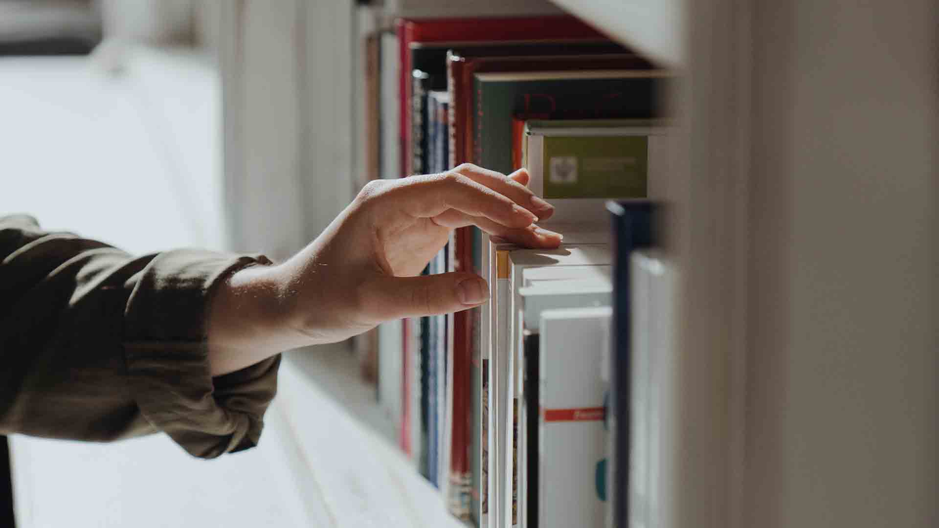 4 Tips to Pick a Degree Major | Find Best Degrees Blog